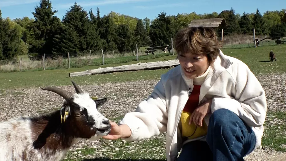 女優・杏が『ZOO-1グランプリ』初登場!フランスの動物園「パロット・ワールド」で驚き&感動スペシャル｜TBSテレビ