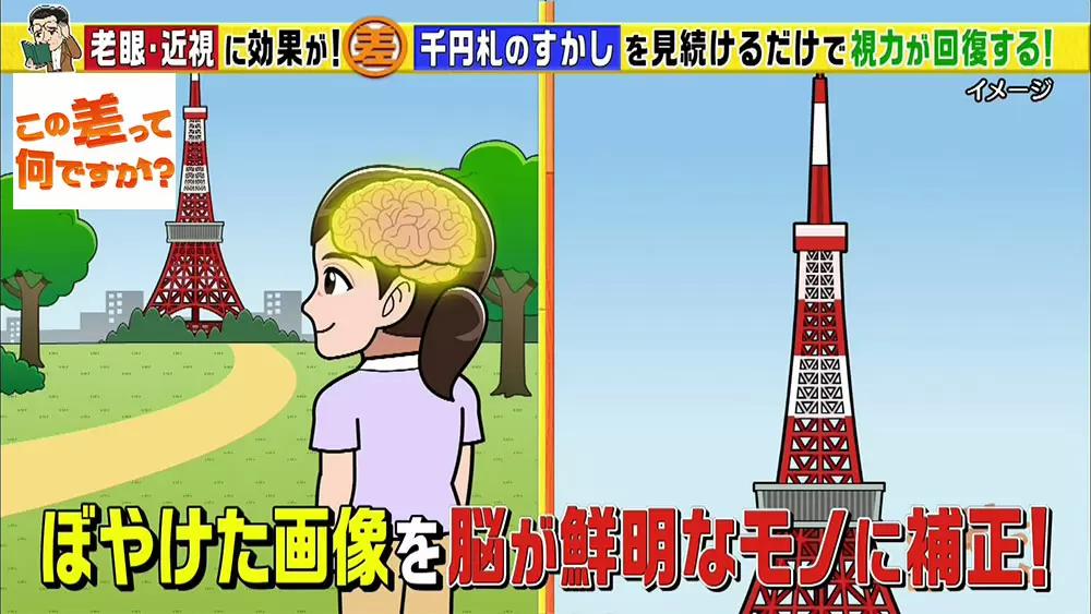 世界で唯一、科学的に実証された「視力回復法」は千円札を見るだけ⁉|tbsテレビ