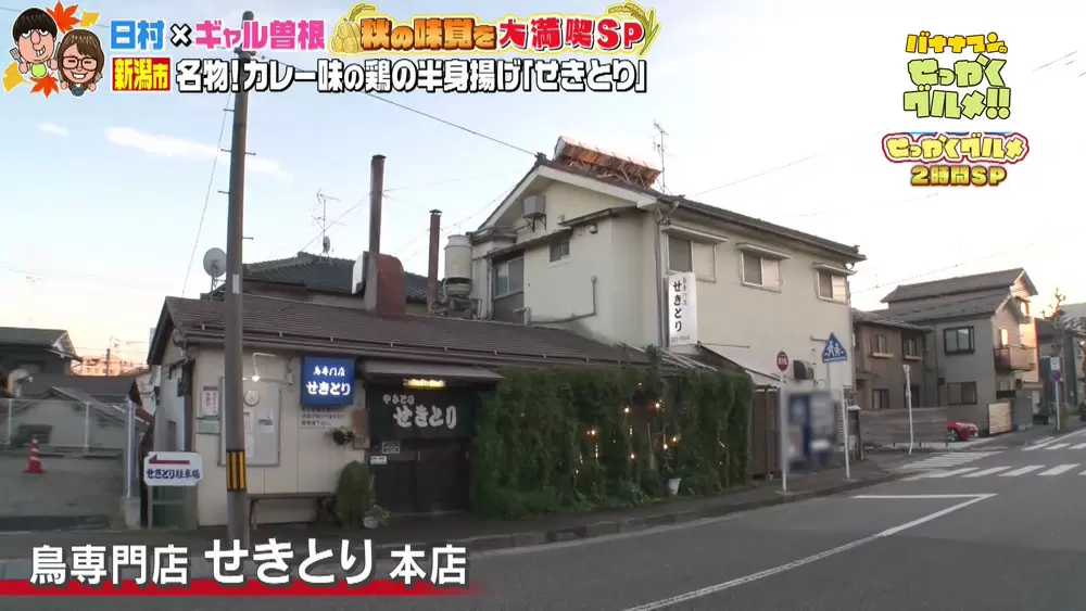 重量500g！新潟のソウルフード「鶏の半身揚げ」がボリュームたっぷりで美味｜tbsテレビ