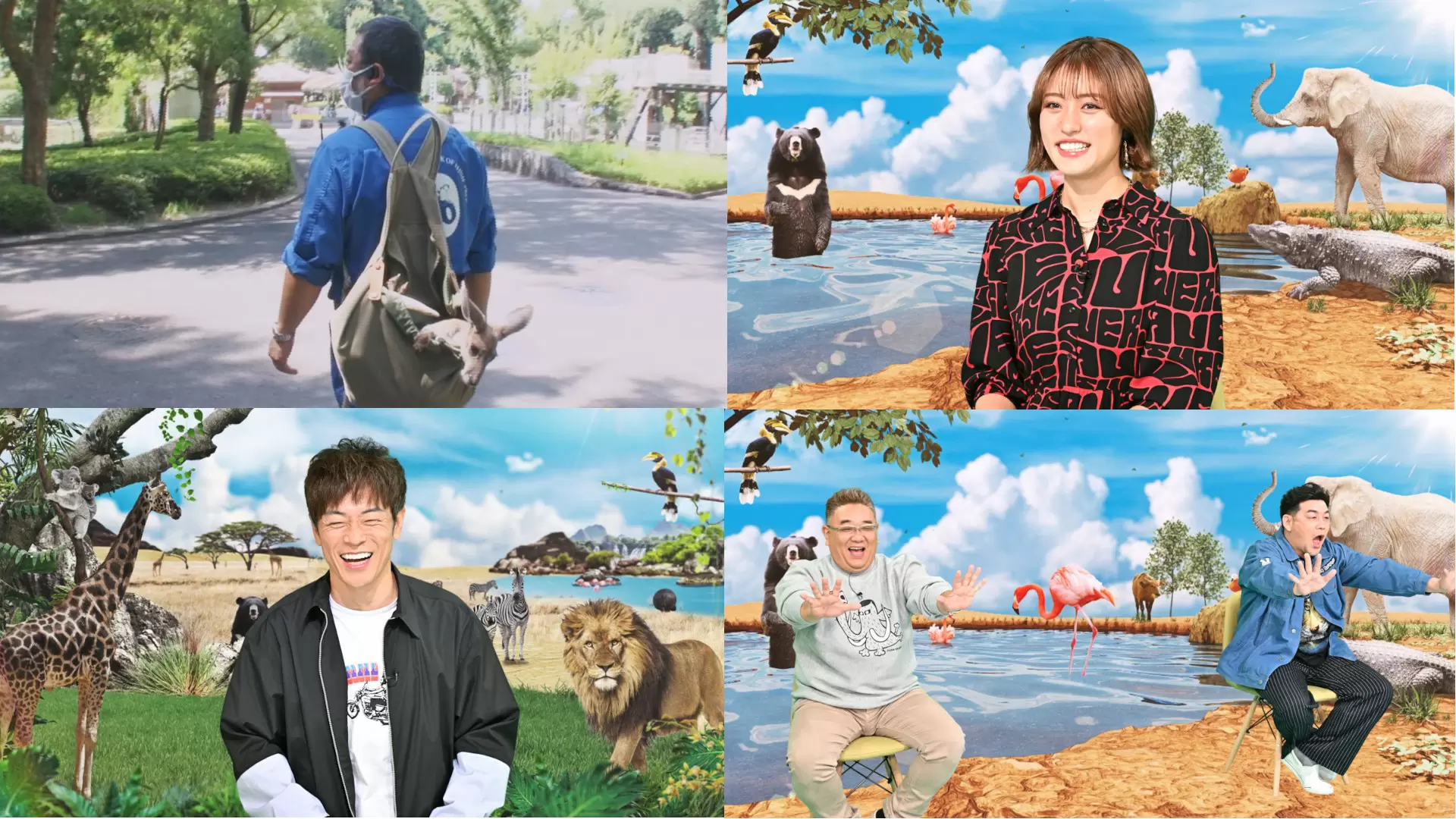 動物と飼育員さんの絆!リュックで育った カンガルー涙の旅立ちSP『ZOO-1グランプリ』｜TBSテレビ