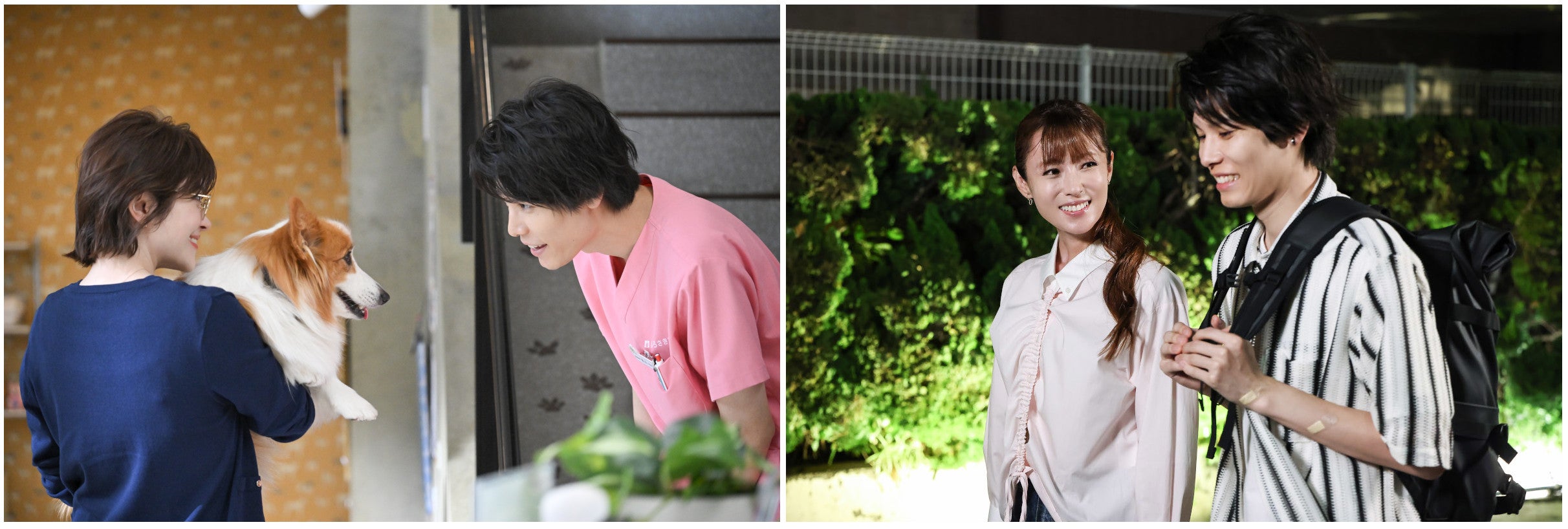 最終回に宮澤エマ・深田恭子の出演が決定!火曜ドラマ『初恋DOGs(ドッグス)』サイドストーリー『初恋アンダーDOGs(ドッグス)～負け犬と初恋～』｜TBSテレビ