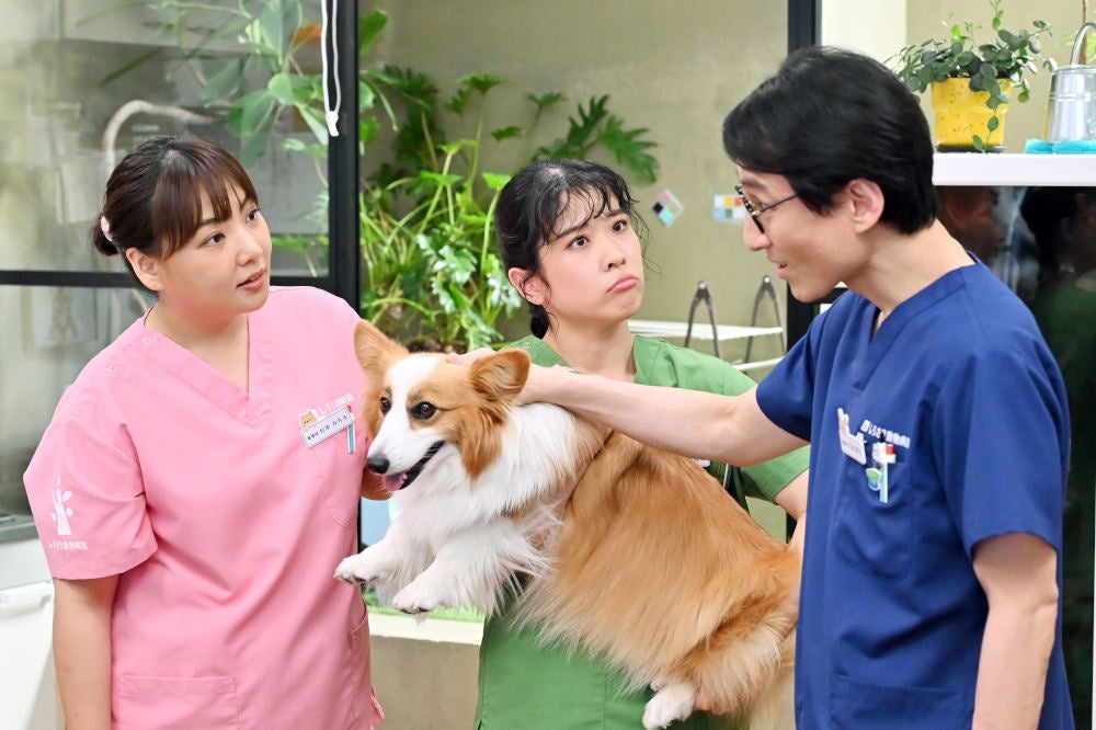 火曜ドラマ『初恋DOGs』サイドストーリーの配信が決定！ 主演・萩原利久！『初恋アンダーDOGs～負け犬と初恋～』｜TBSテレビ