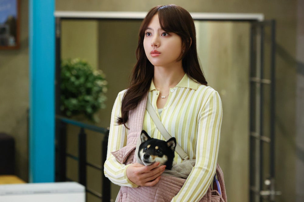 火曜ドラマ『初恋DOGs』将軍とサクラの“恋模様”はこうして生まれた！ドッグトレーナーが明かす撮影裏話｜TBSテレビ